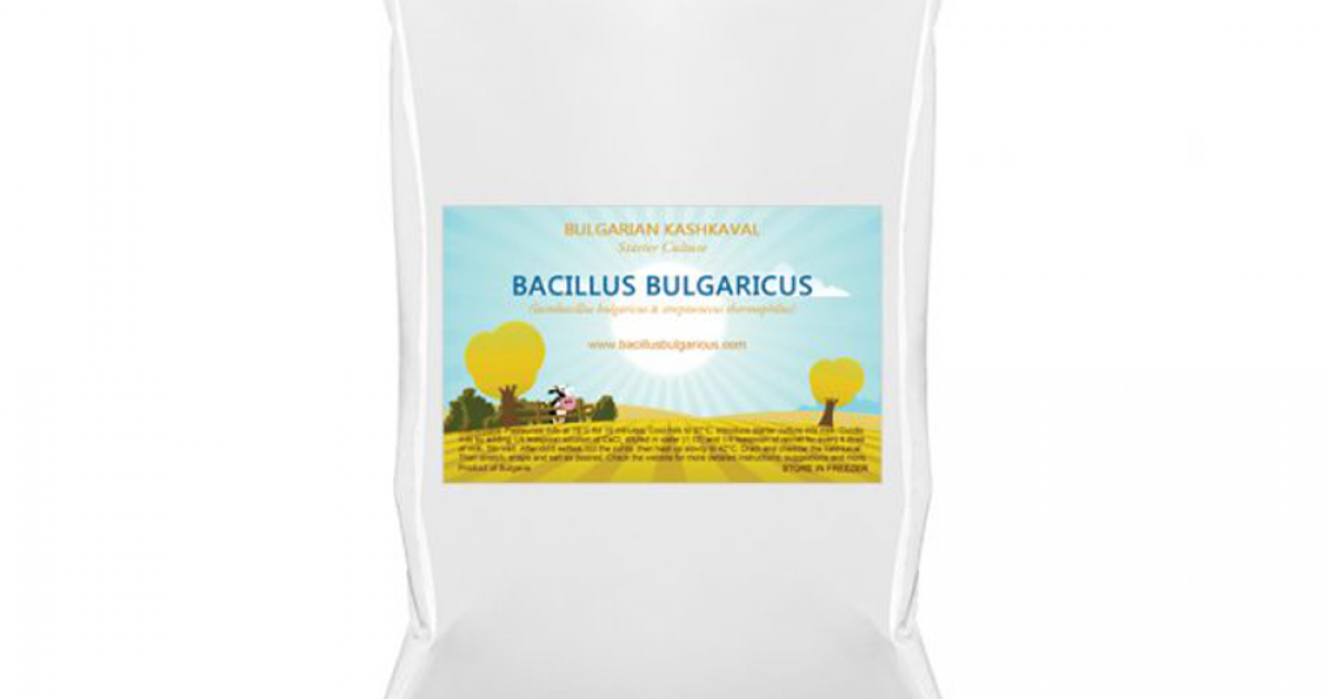 Bacillus Bulgaricus Starter Cultures for 200g Bulgarian Kashkaval | 1 g