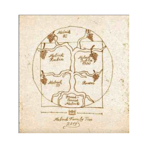 Villa Melnik Melnik Family Tree Limited Edition