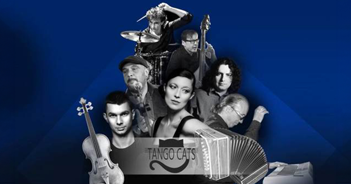 Leidenschaftliche Rhythmen: Ein Abend mit den "Tango Cats"